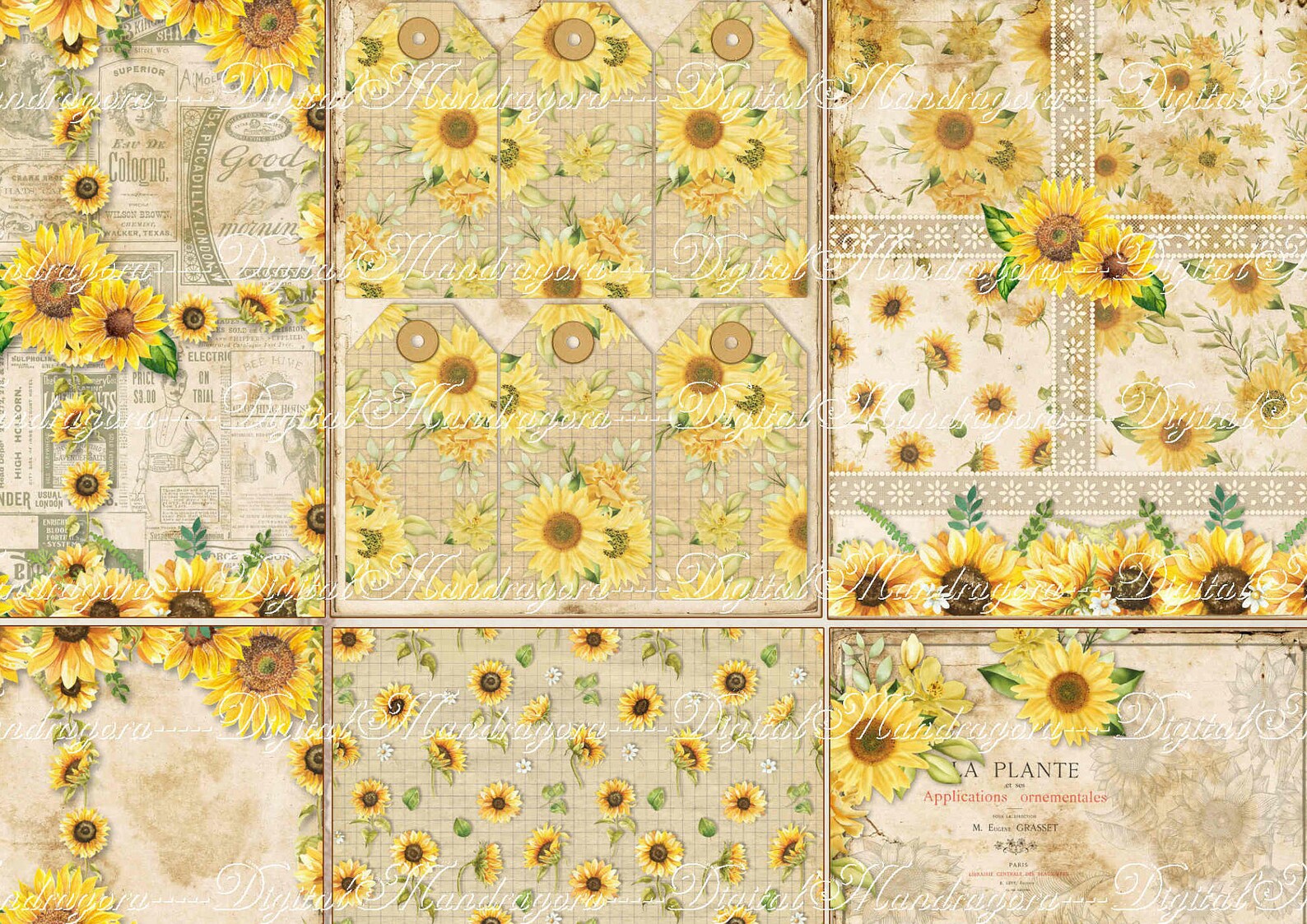 Sunflowers Decorative Paper Pack Sunflower Prints Sunflower - Etsy