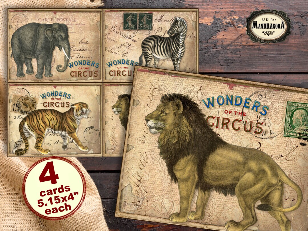 Circus postcards, vintage circus cards, circus ephemera, junk journal ...