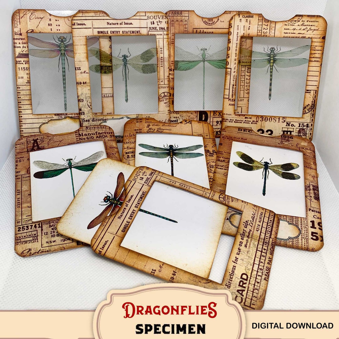 Dragonfly Specimen Slides Kit for Nature Junk Journal Making, Insects ...