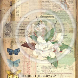 Magnolia and Butterflies Digital Grunge Decorative Paper Pack for Junk ...