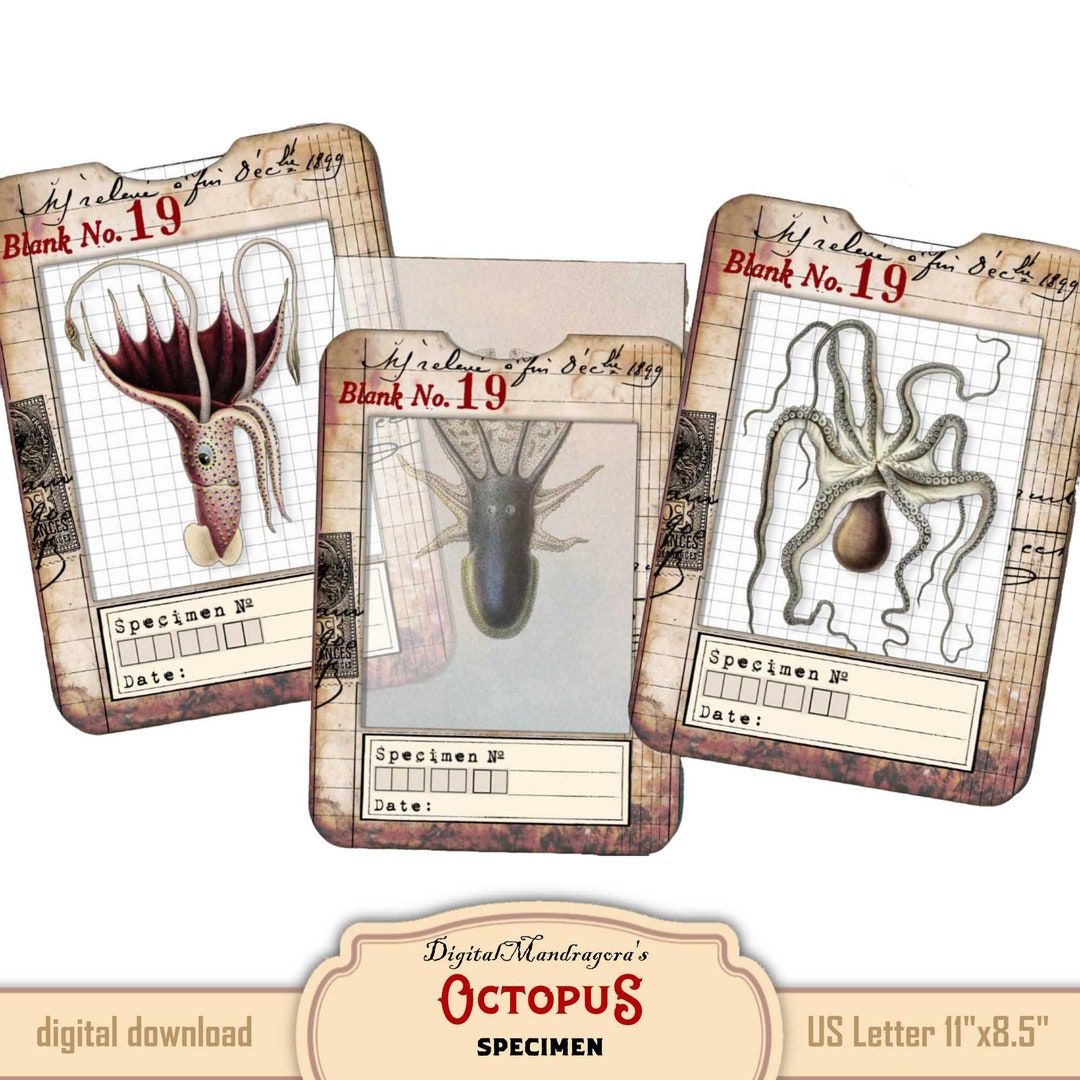 Octopus and Sepia Specimen Slides With Tray, Vintage Sepia and Octopus ...
