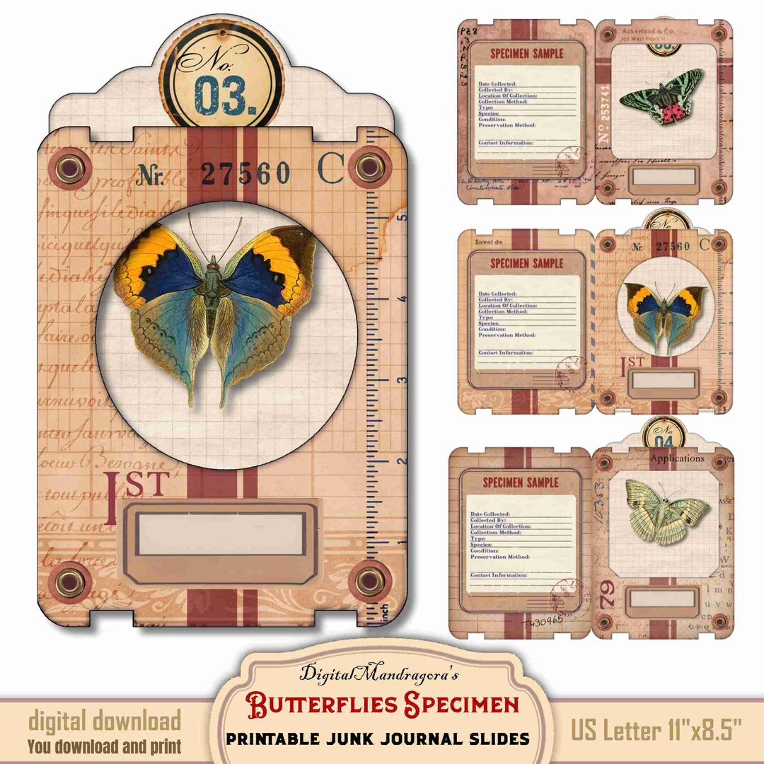 Butterflies Specimen Slides Kit for Nature Junk Journal Making, Insects ...