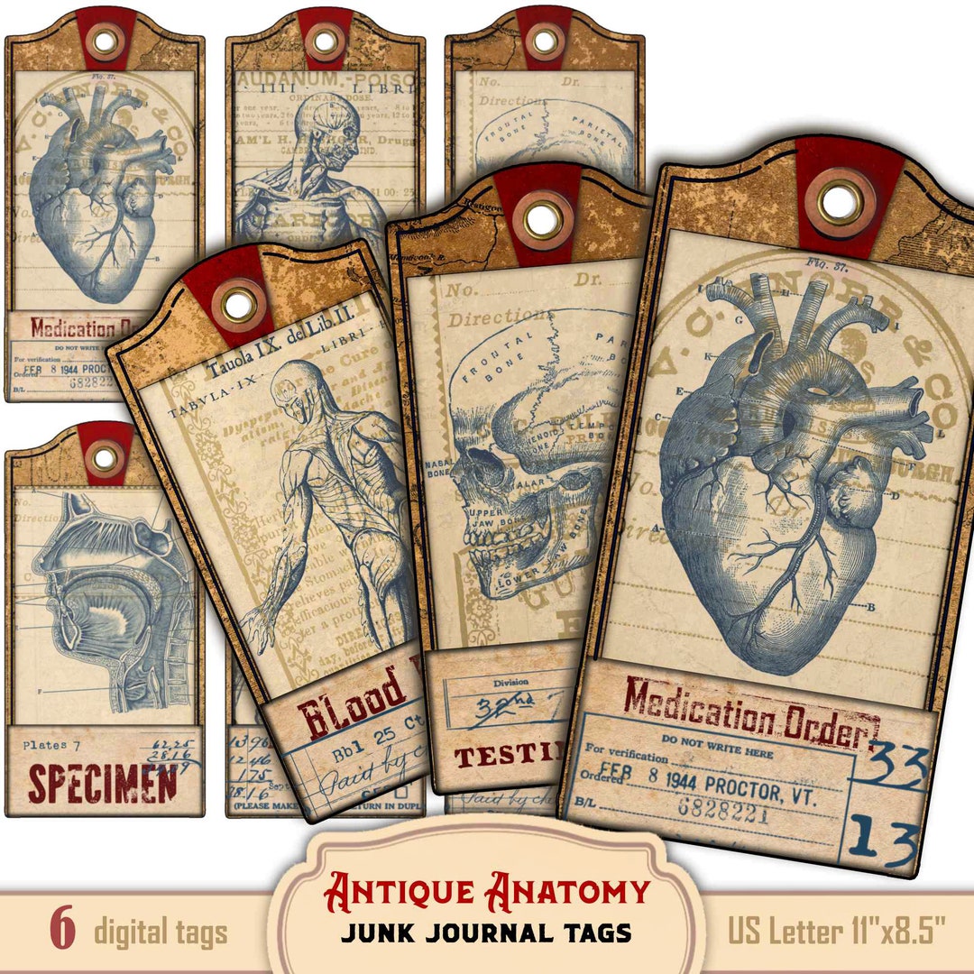 Anatomy Specimen Junk Journal Tags - Grunge Victorian Digital Printable ...