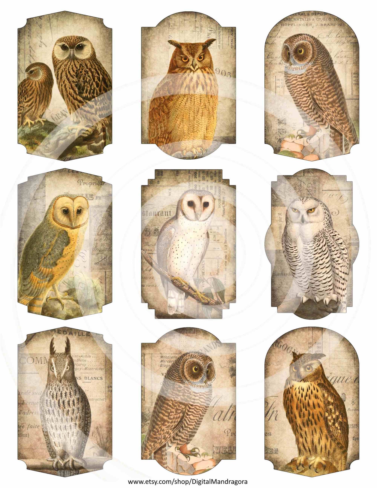 Vintage Shabby Owl Labels Stickers Die Cuts Fridge Magnet - Etsy