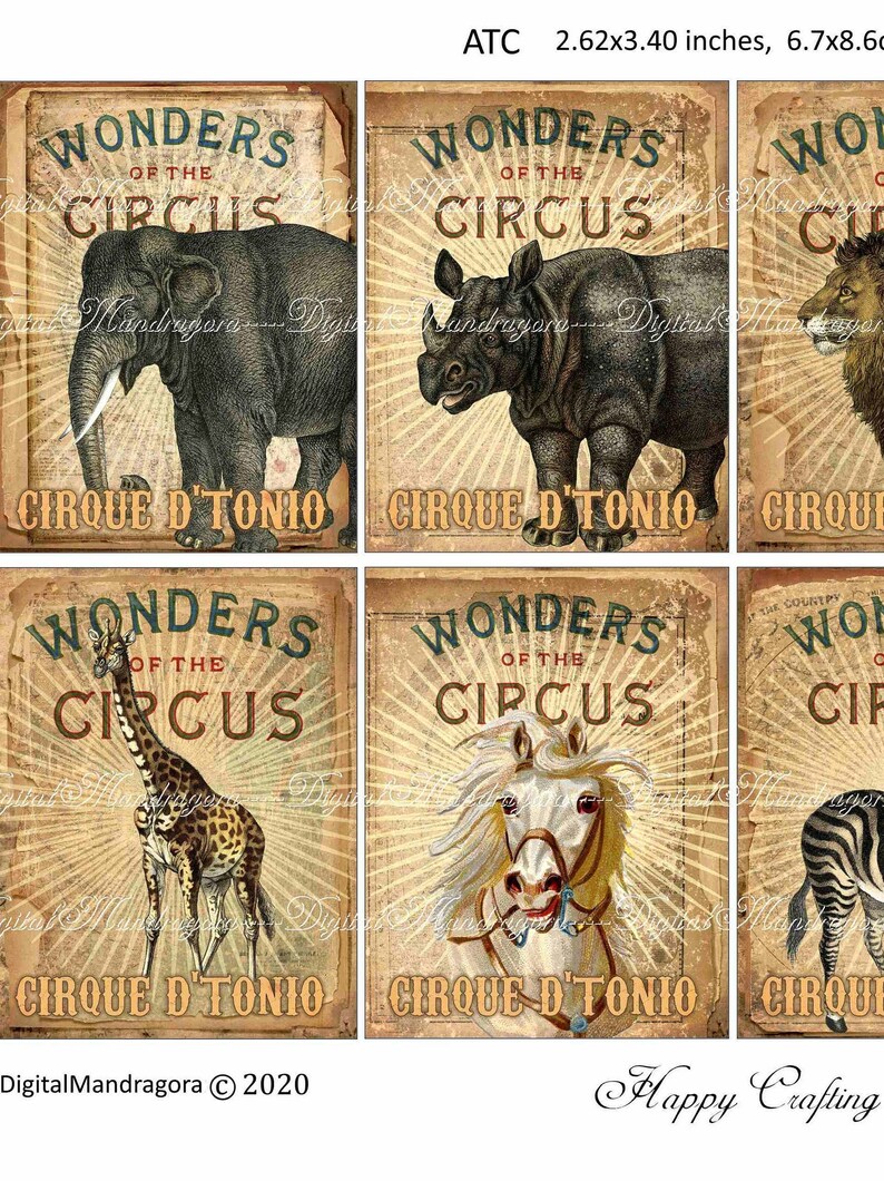 8x Vintage Circus Cards Circus Cards With Animals Circus - Etsy