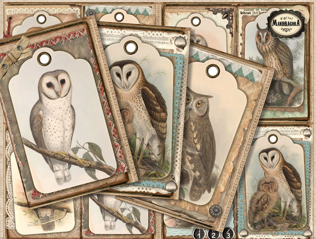 Owls Tags, Owl Cards, Scrapbook Cards, Vintage Owl, Junk Journal Card ...