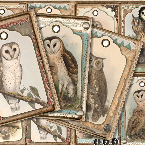 Owl Gifts - 60+ Gift Ideas for 2024