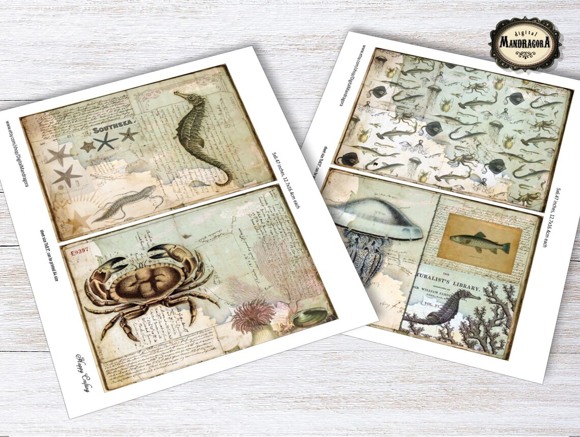 Nautical Large Scrapbooking Cards Sea Creatures Nautical - Etsy