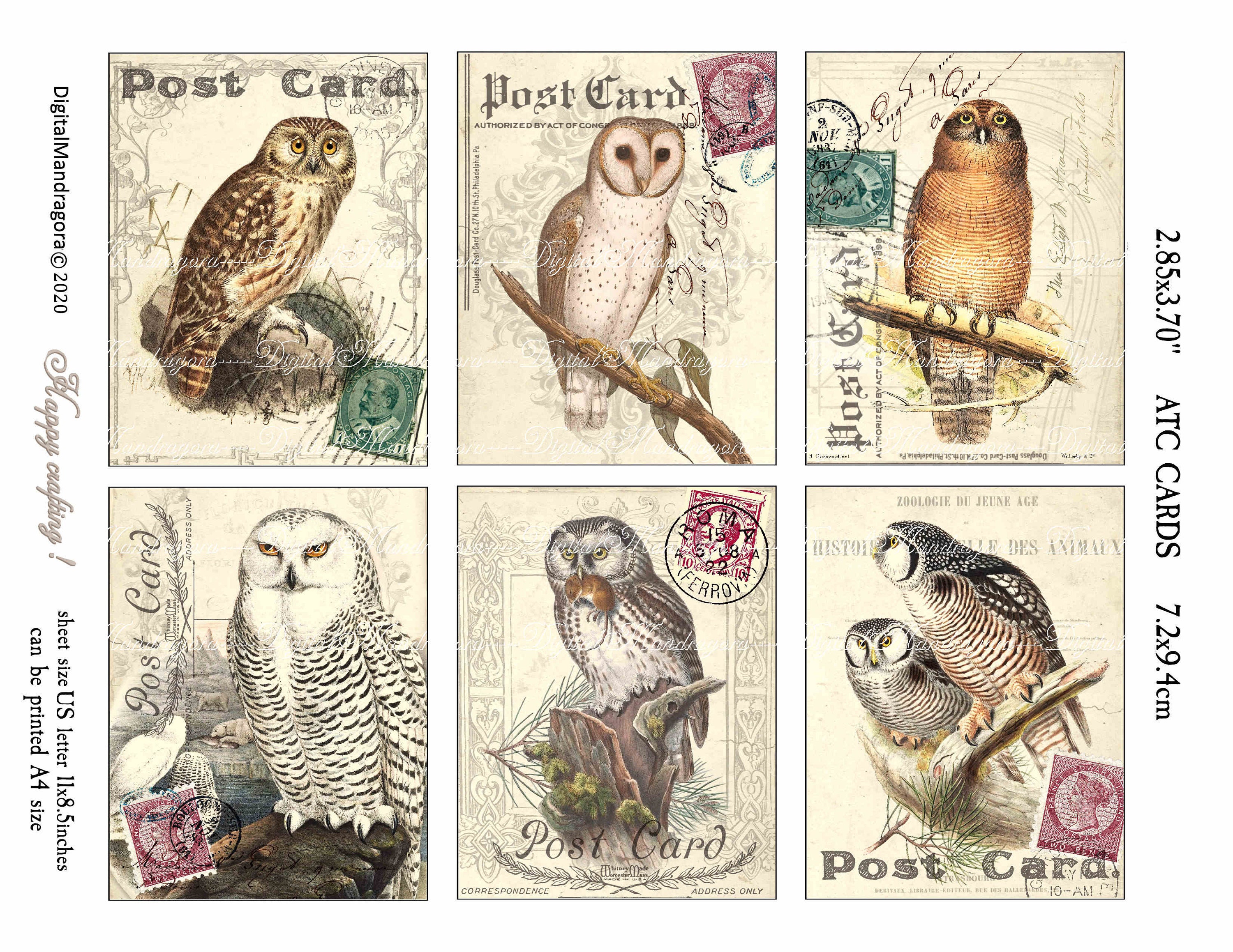 Owl Postcards for Scrapbooking Card Making Journaling Owl - Etsy