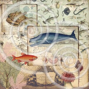 12x12 Inches Vintage Nautical Maritime Decorative Scrapbooking Ephemera ...