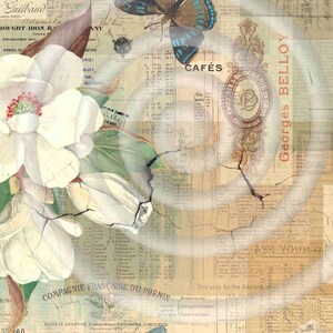 Magnolia and Butterflies Digital Grunge Decorative Paper Pack for Junk ...