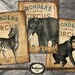8x Vintage Circus Cards, Circus Cards With Animals, Circus Clip Art ...