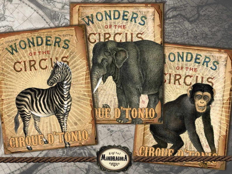 8x Vintage Circus Cards Circus Cards With Animals Circus - Etsy
