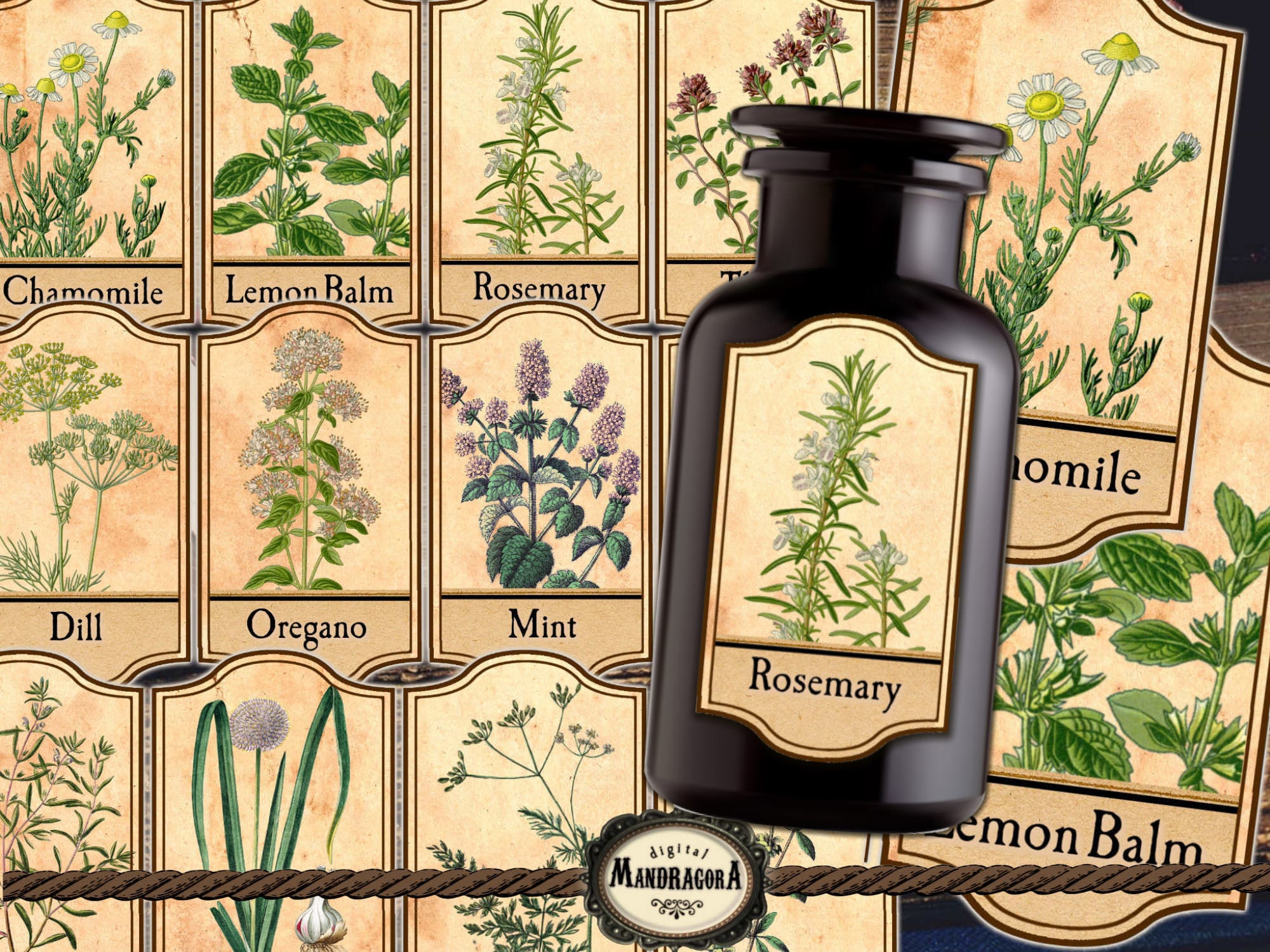 Herbal apothecary labels herbal labels herbs jar labels - Etsy Nederland