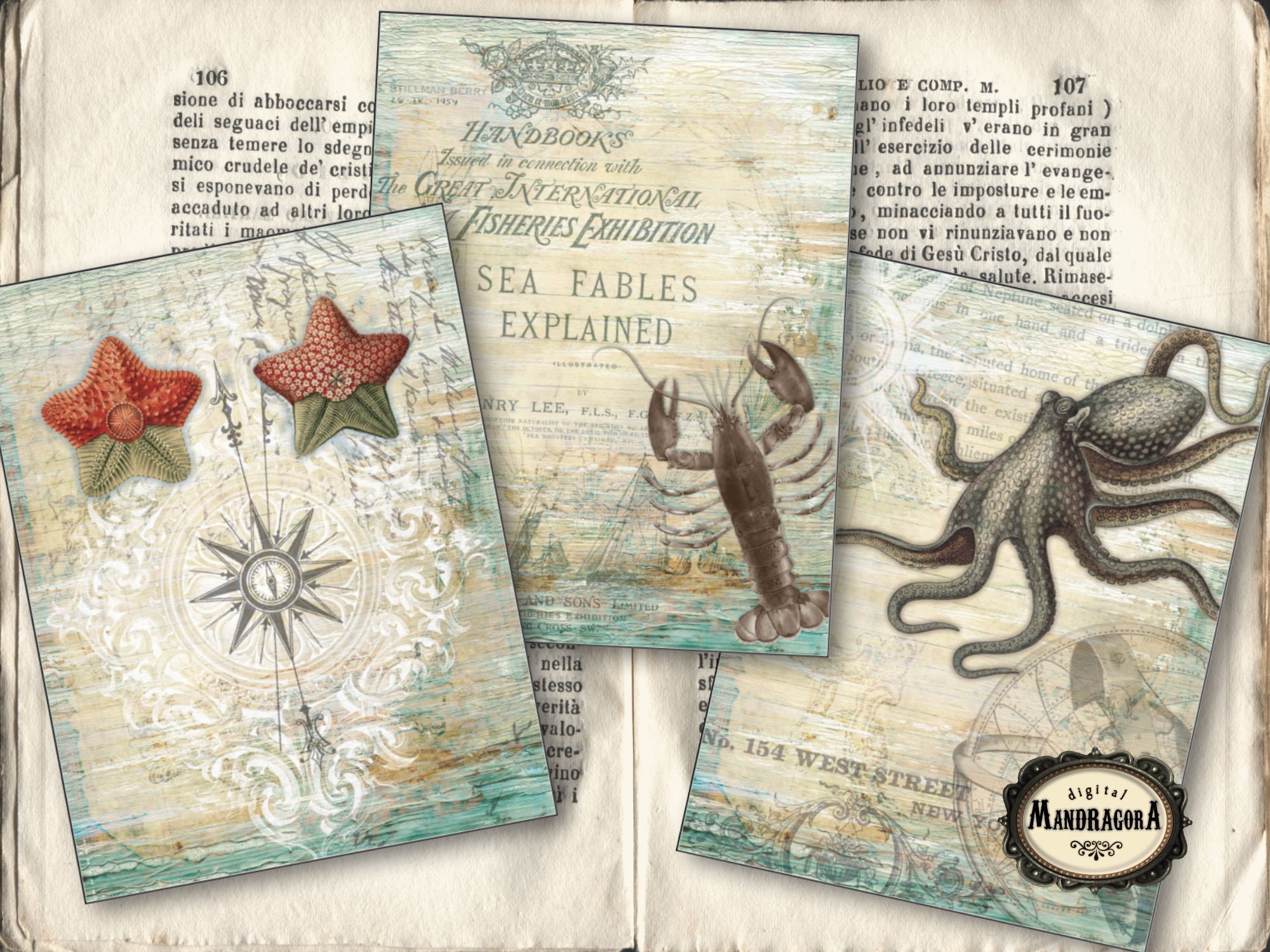 Nautical Ephemera Cards 2.85x3.7 Printable Maritime - Etsy