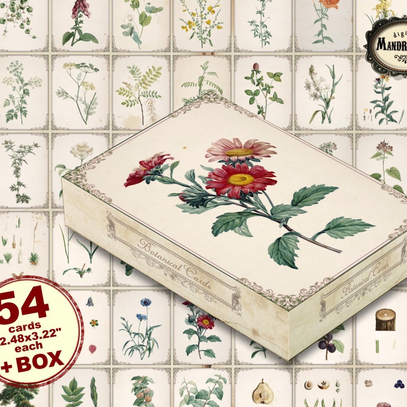 Botanical Cards - Etsy UK