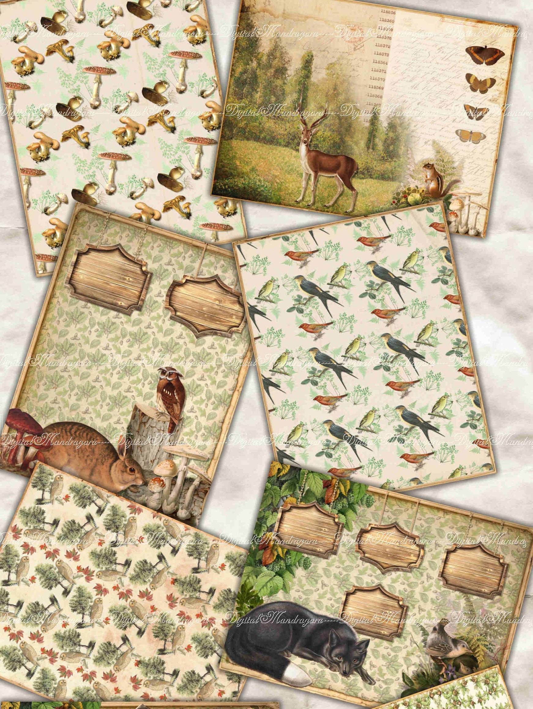 Woodland paper pack vintage woodland backgrounds woodland | Etsy