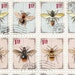 Bees Faux Postage Stamps, Bees Printable Stamps, Bees Stamp Set, Bees ...