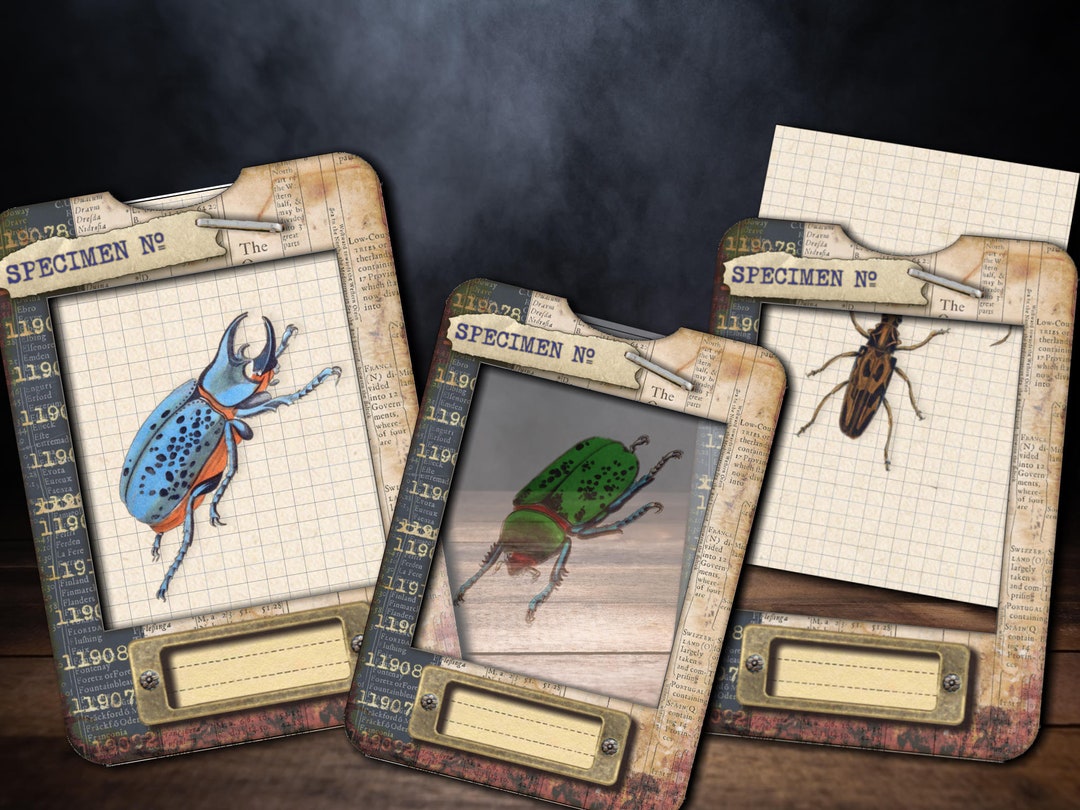 Bugs Specimen Slides With Frames, Vintage Bugs Cards for Journaling ...