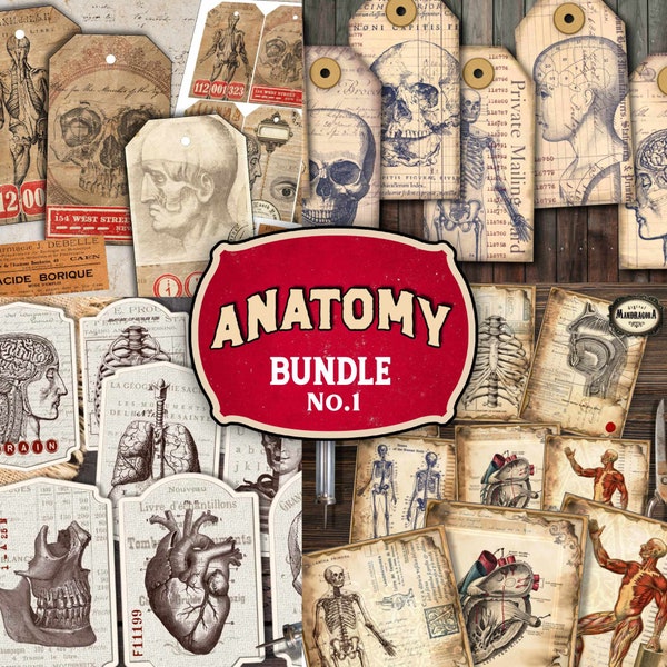 Vintage Anatomy - Etsy