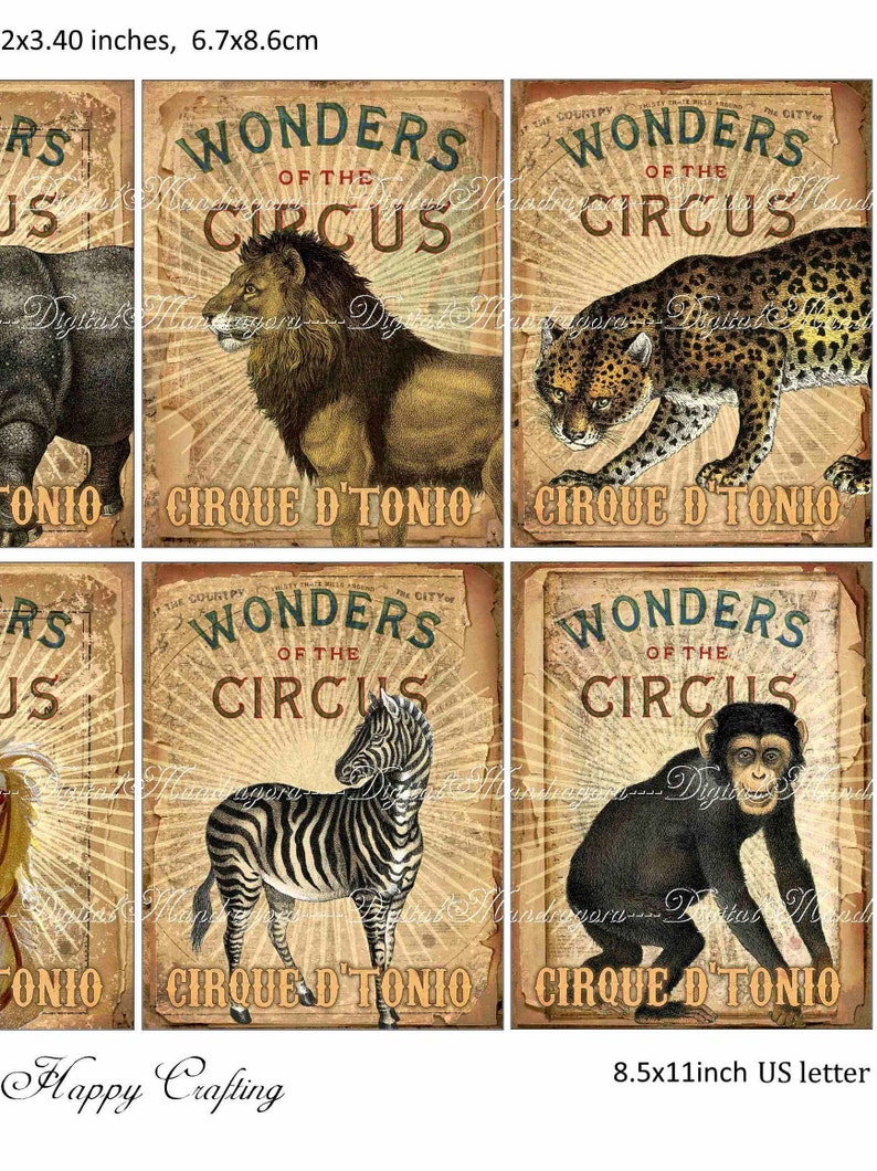 8x Vintage Circus Cards Circus Cards With Animals Circus - Etsy