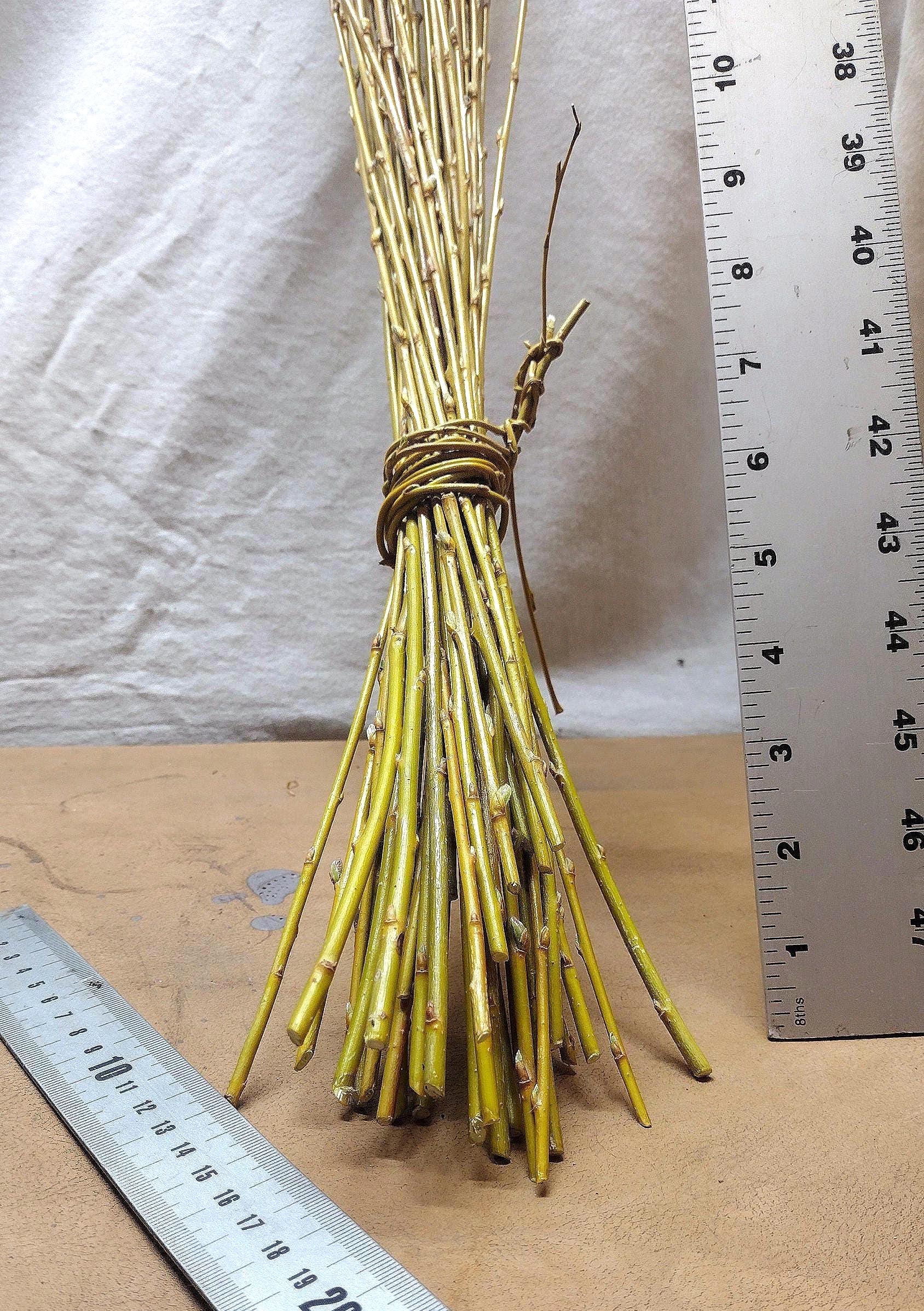 Fresh Willow Limbs for Weaving - Etsy