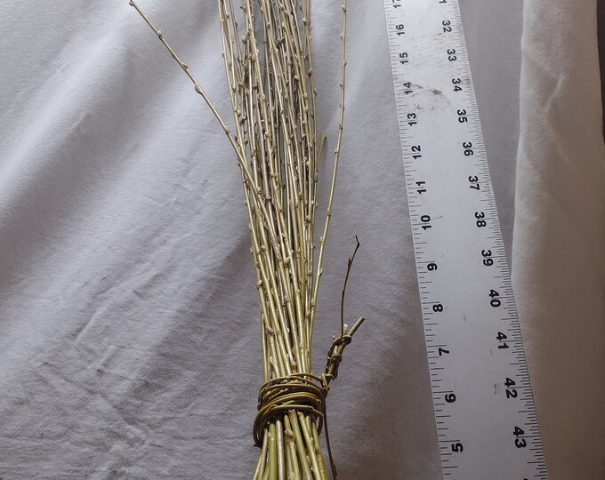 Fresh Willow Limbs for Weaving - Etsy