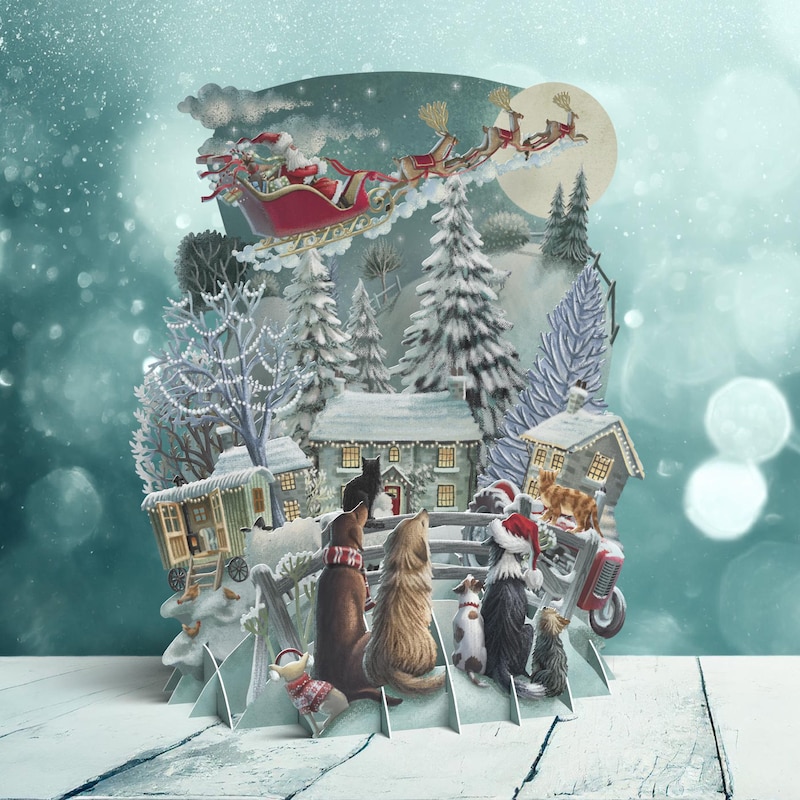 Pop up Cards Christmas Cat - Etsy