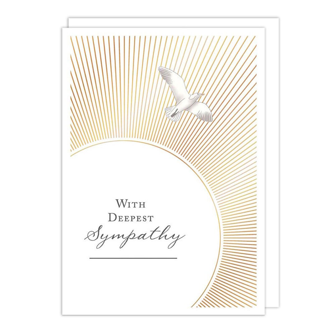 Sympathy Card: Rays Bird Sympathy Card QSY1063 - Etsy