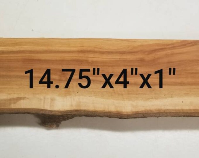 Small Apple Wood Live Edge Slabs/ Boards. This Board Have Beautiful One ...