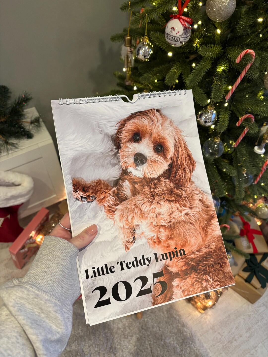 USA - Littleteddylupin the Cavapoo Dog 2025 Wall Calendar - Etsy