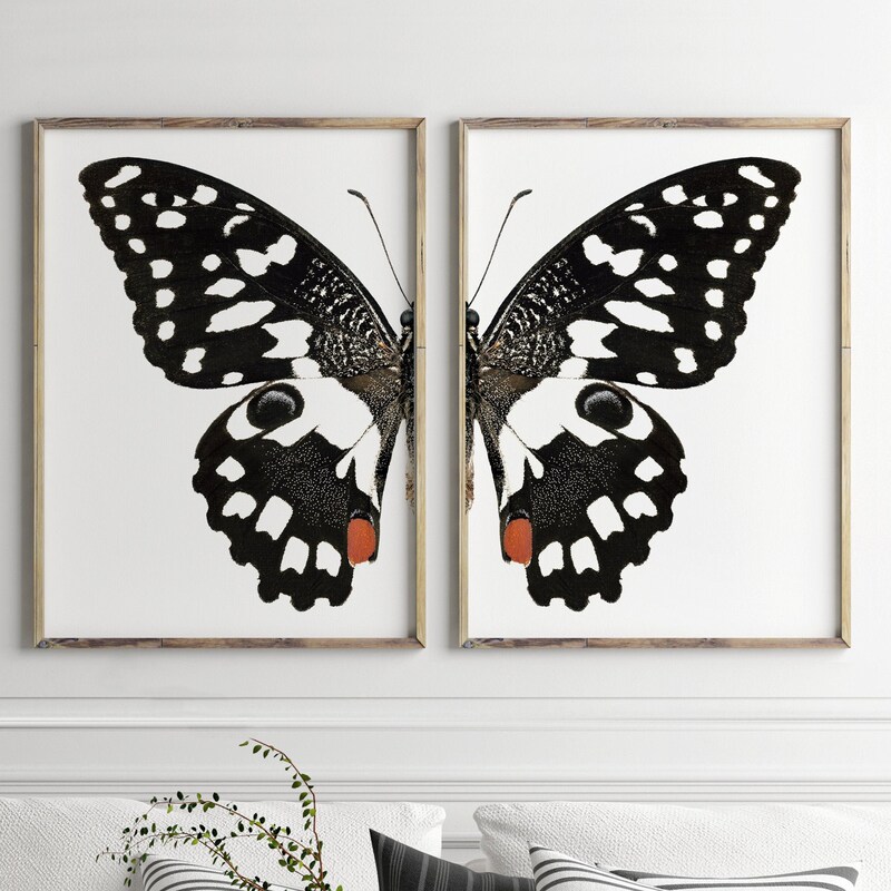 Butterfly Poster - Etsy