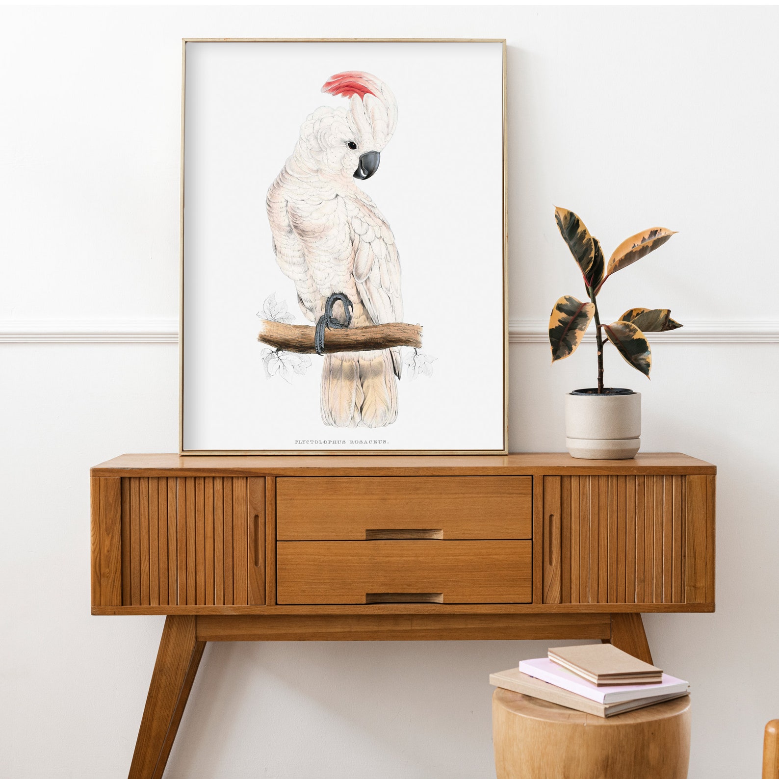 Cockatoo Print Parrot Art Bird Poster Tropical Wall Art | Etsy