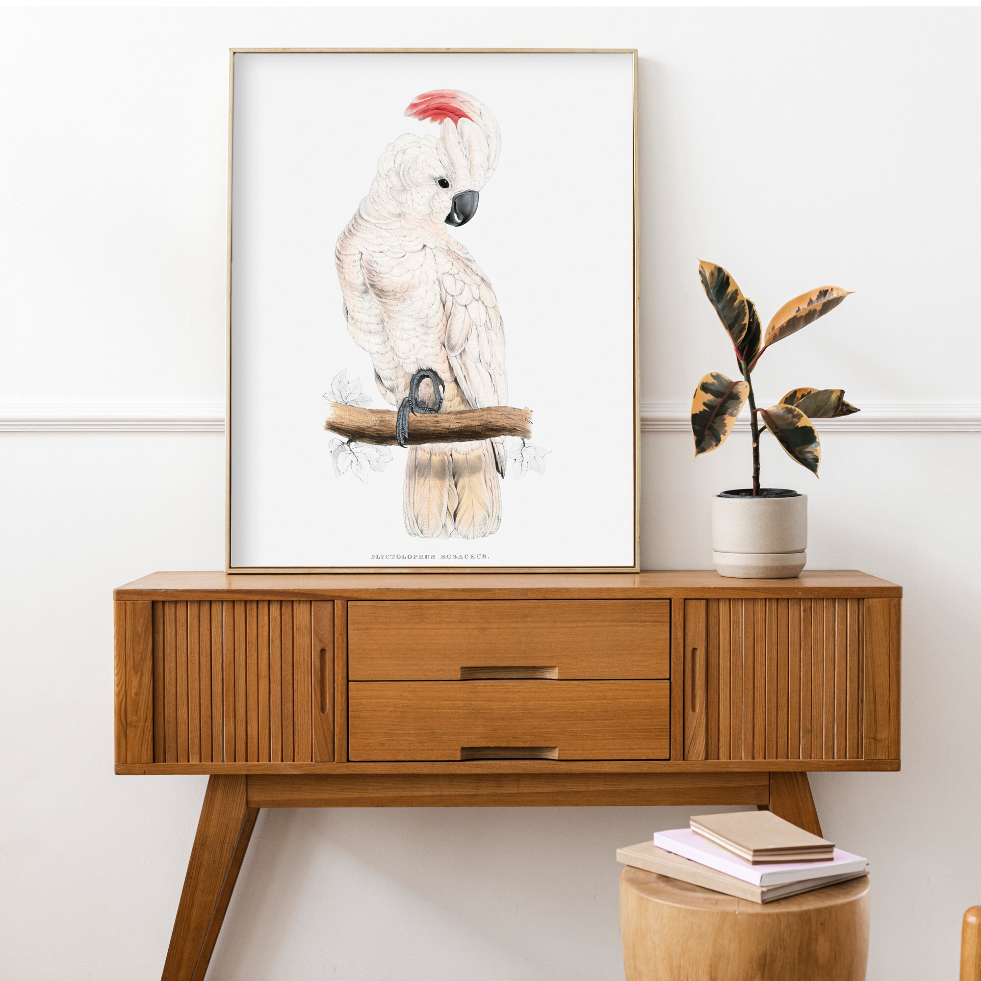 Cockatoo Print Parrot Art Bird Poster Tropical Wall Art | Etsy