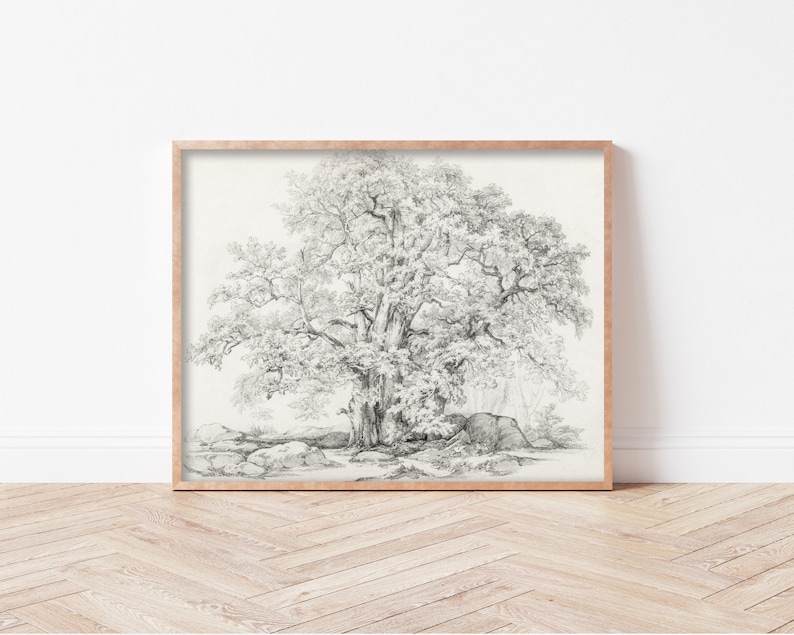 Antique Tree Sketch Vintage Nature Drawing Rustic Country | Etsy