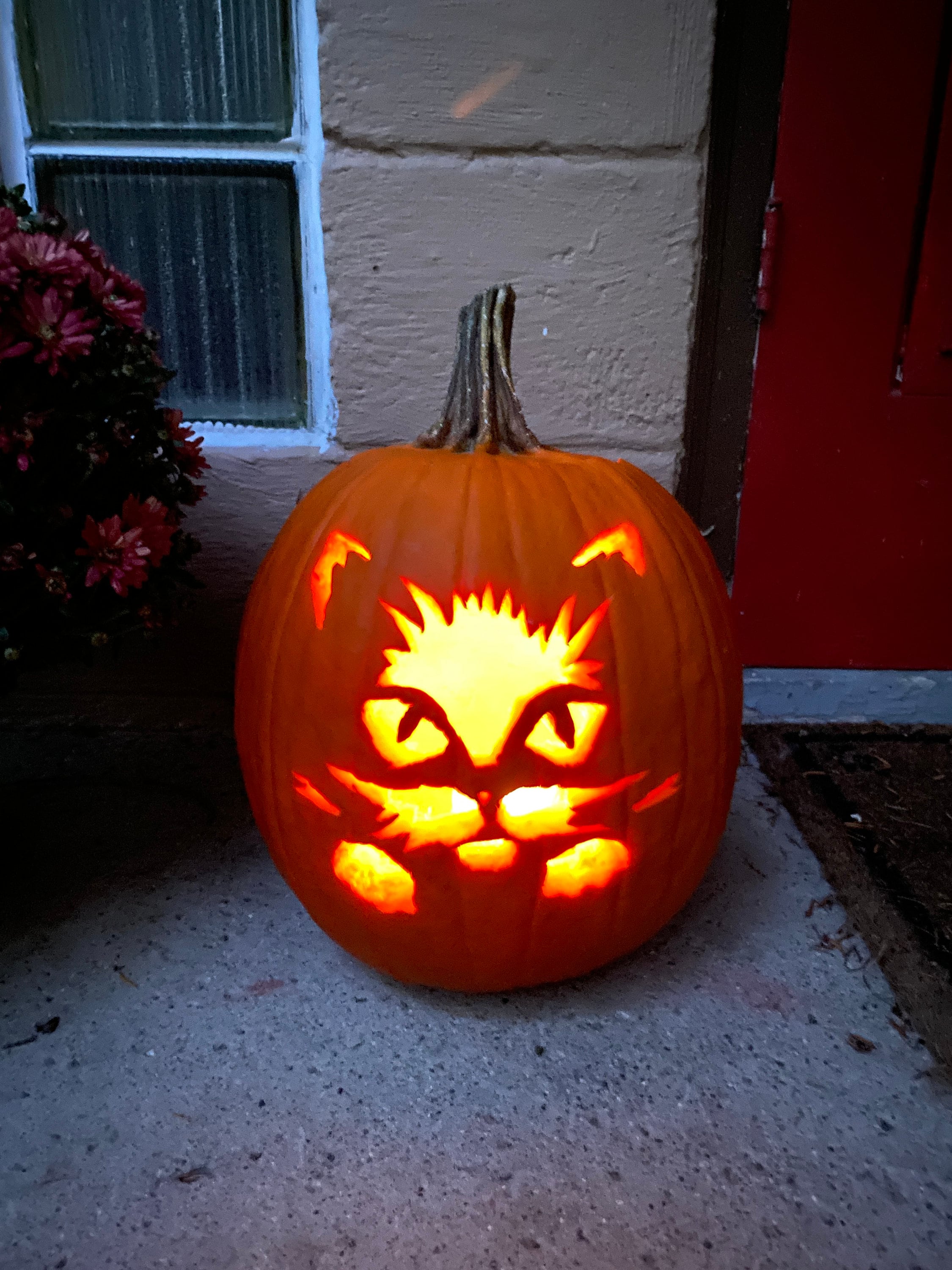 Cat Pumpkin Carving Ubicaciondepersonas cdmx gob mx