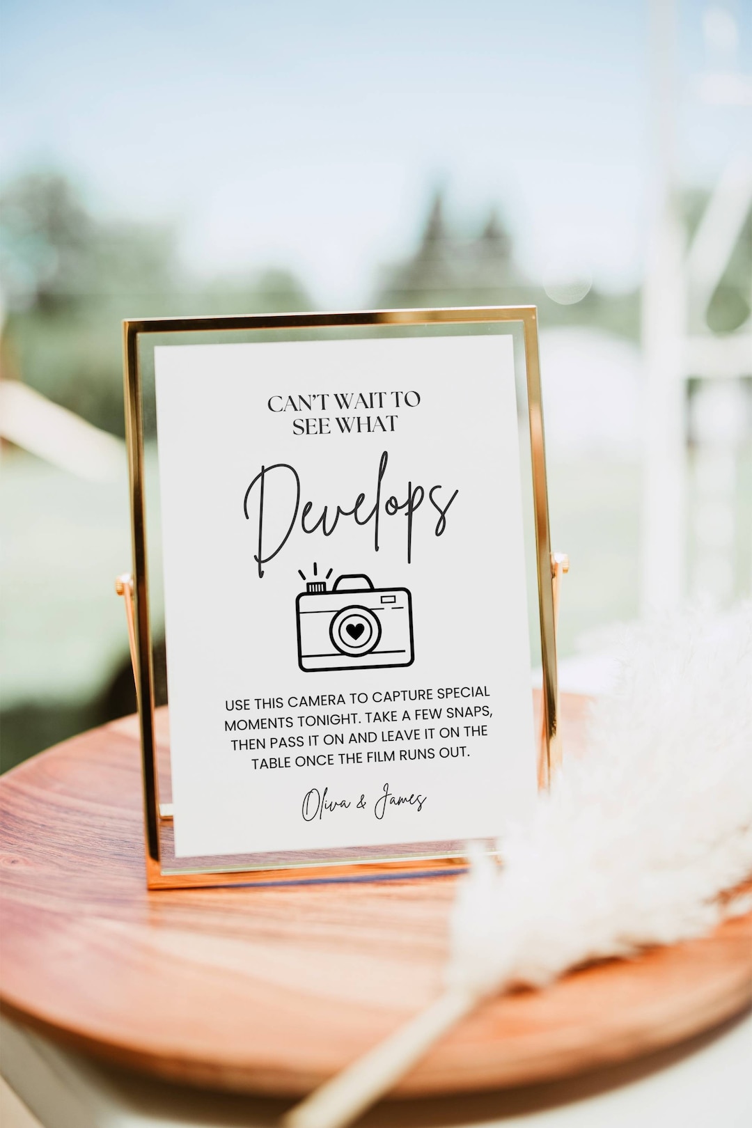 Disposable Camera Sign, Minimalist Party Sign, Can't Wait to See What ...