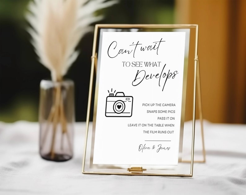 Disposable Camera Sign, Minimalist Wedding Sign, Can't Wait to See What ...
