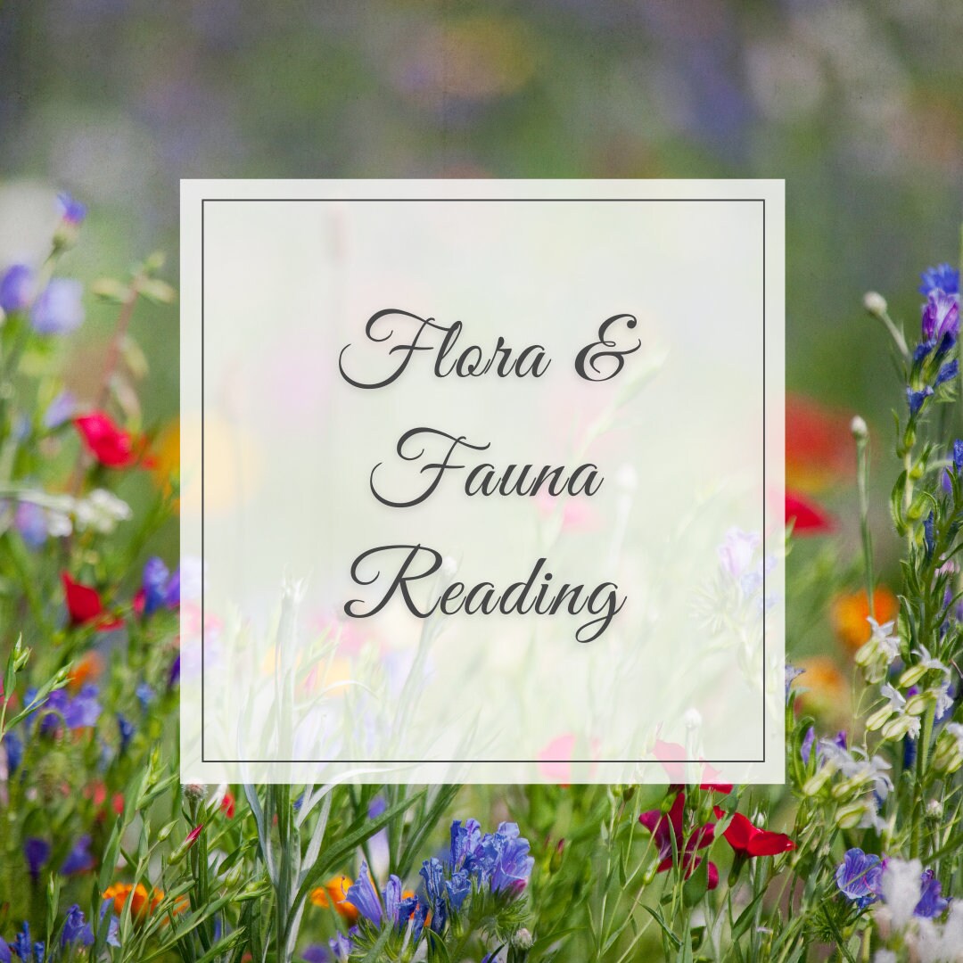 Flora & Fauna Reading | A Mixed Deck Reading - Etsy