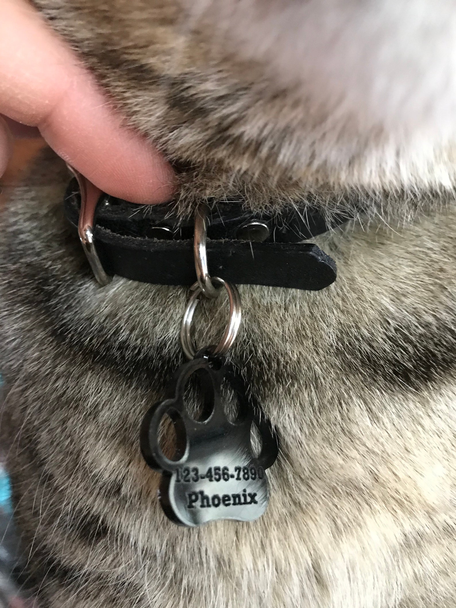 Paw Print Tag Cat Id Tag Pet Tags Cat Collar Tag Pet Gift - Etsy