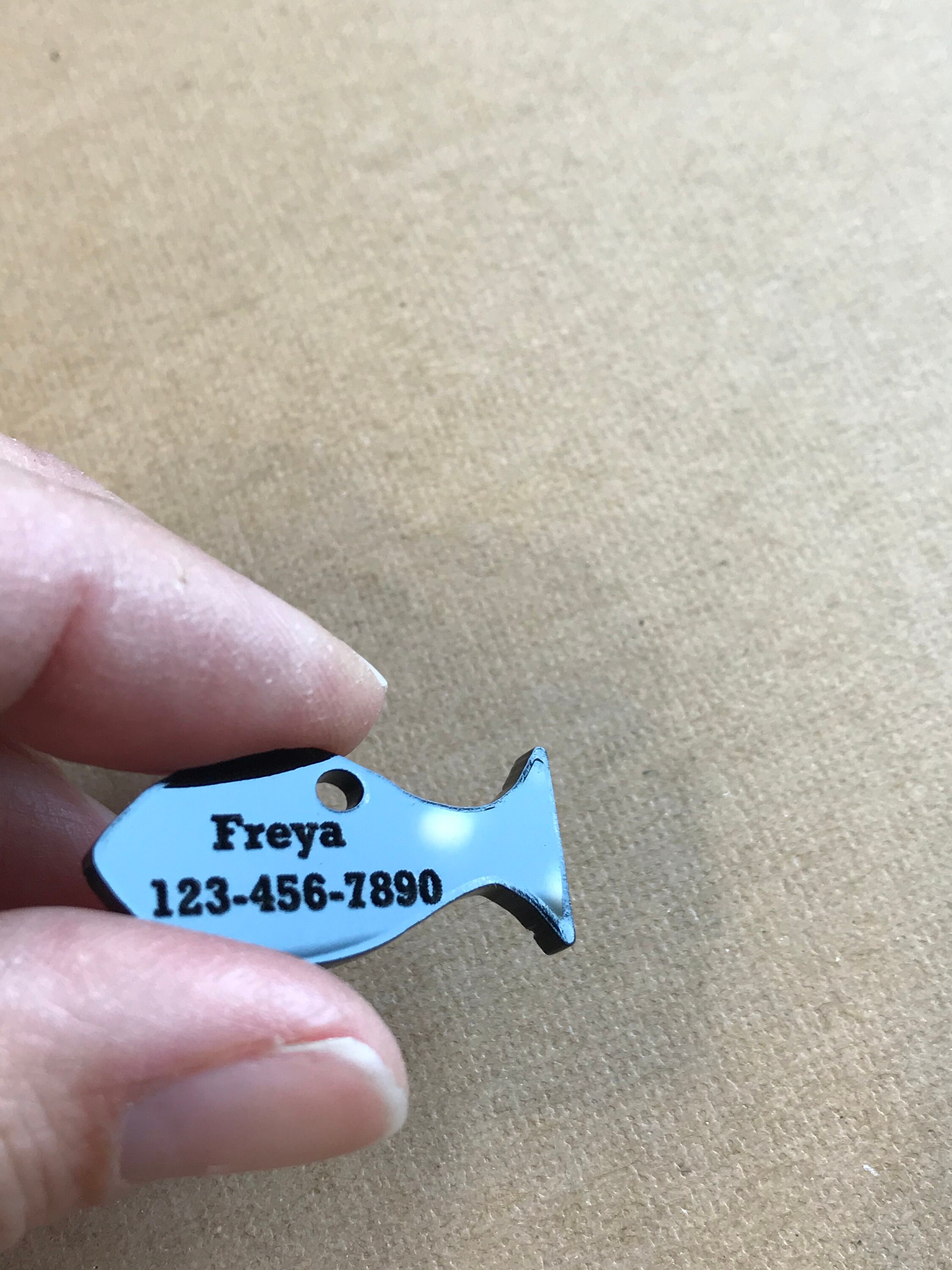 Fish Cat Tag, Cat Name Tag, Cute Pet Id Tag, Pet Tags, Cat Collar Tag ...
