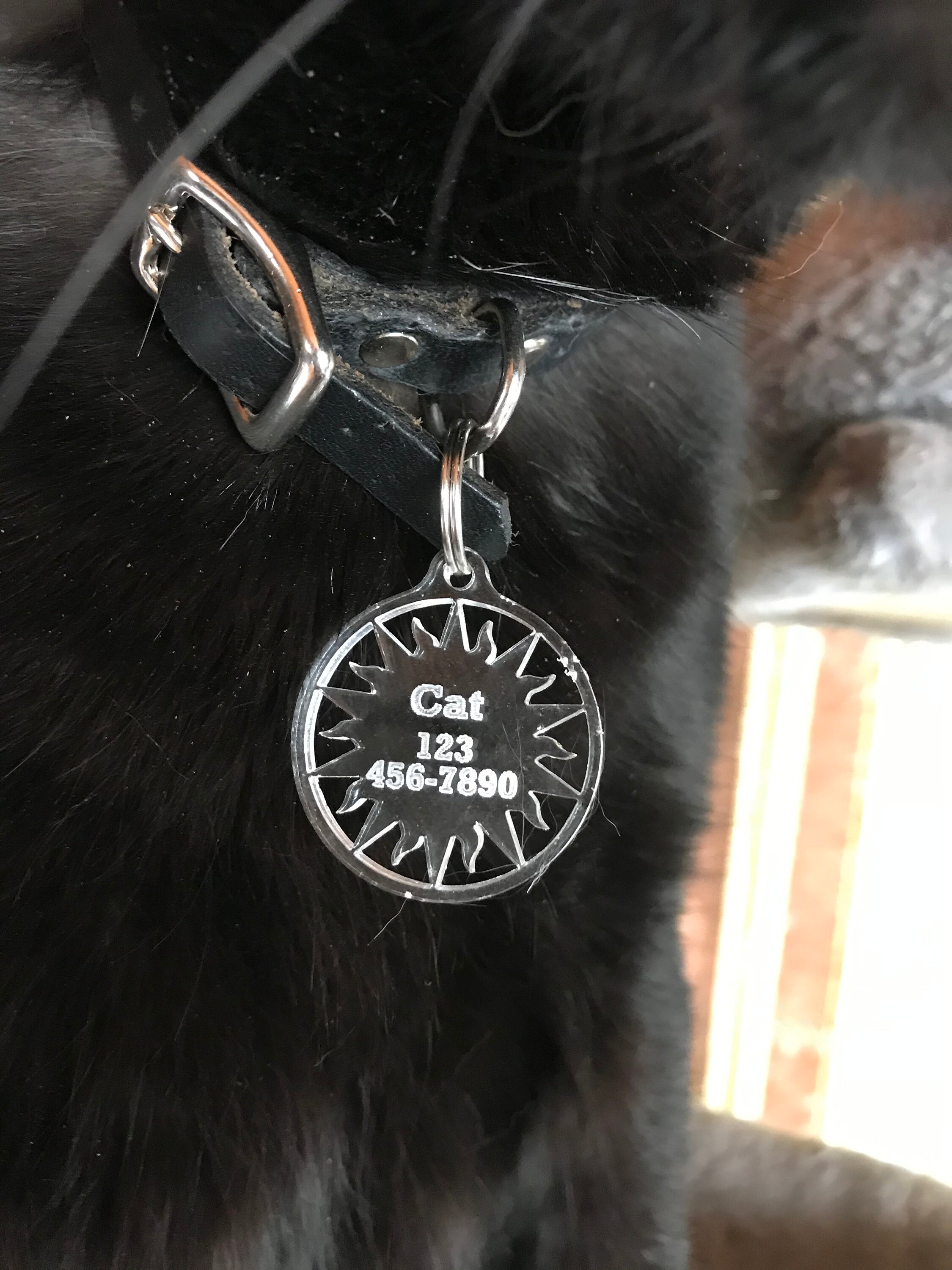 Sun Cat Tag, Cat Name Tag, Cute Pet Id Tag, Pet Tags, Cat Collar Tag ...
