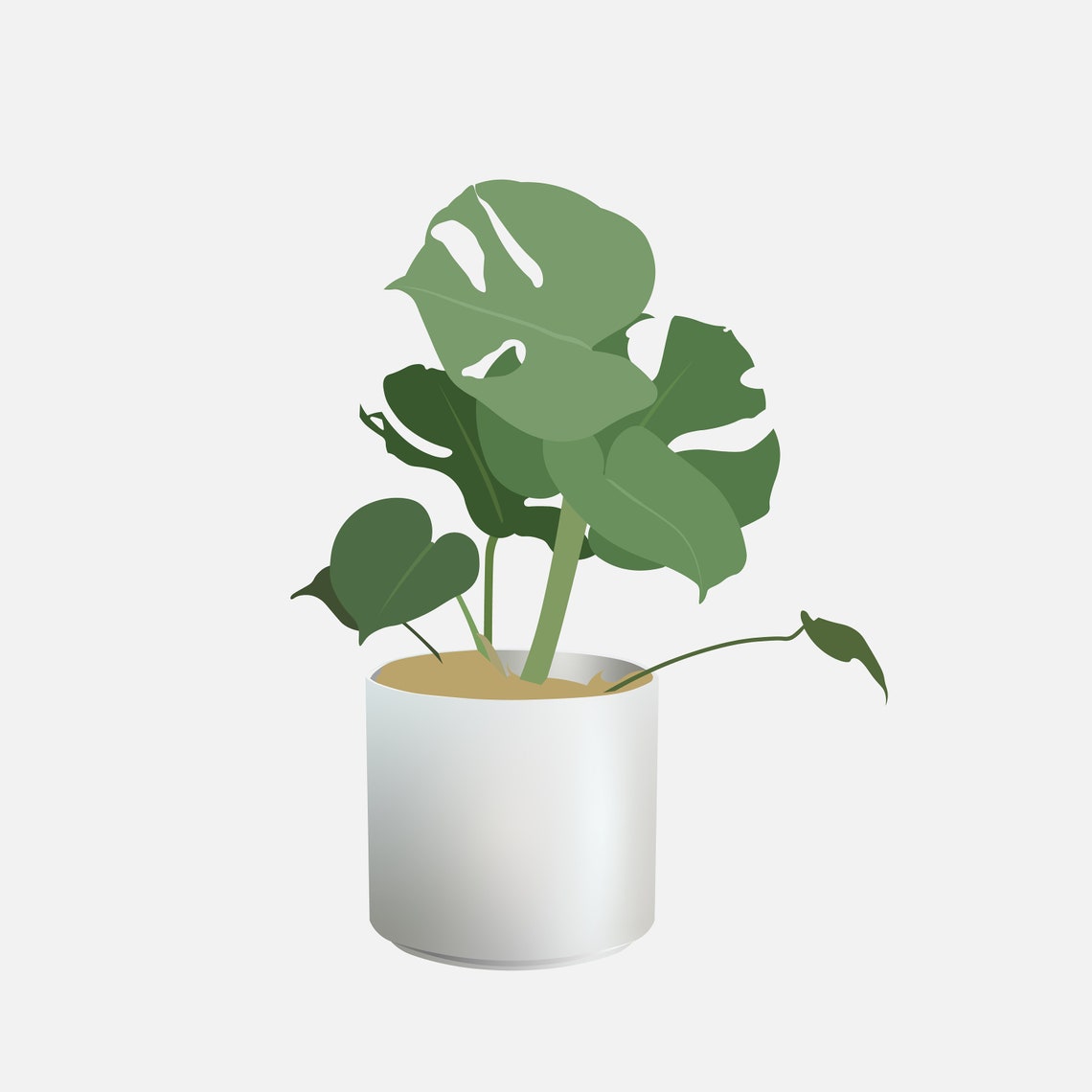 15 Flat Vector Home Plants Illustrations 1 Digital file | Etsy