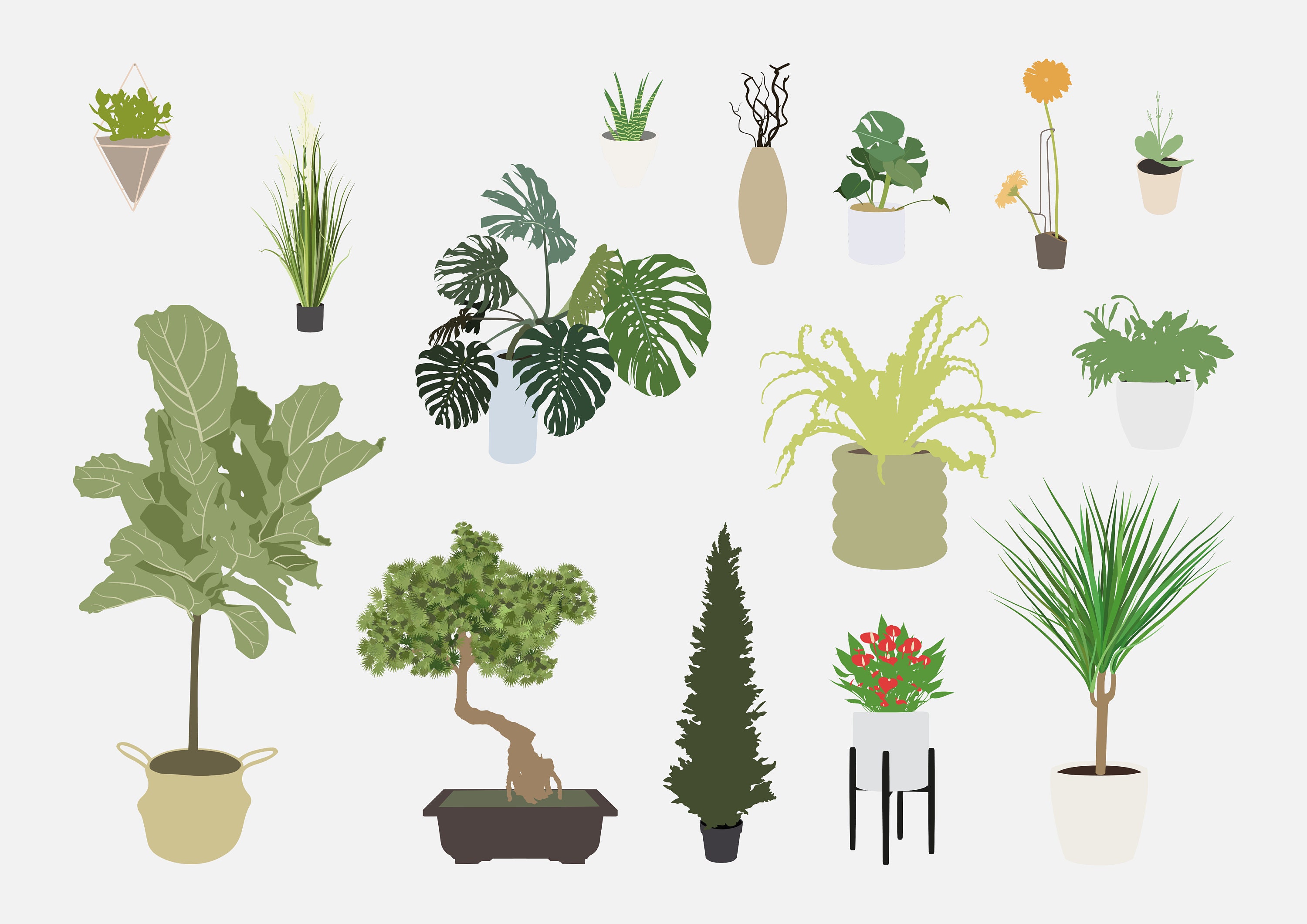 15 Flat Vector Plants Illustrations 1 | Etsy