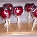 CANDY APPLE KIT Make Your Own Candy Apples - Etsy