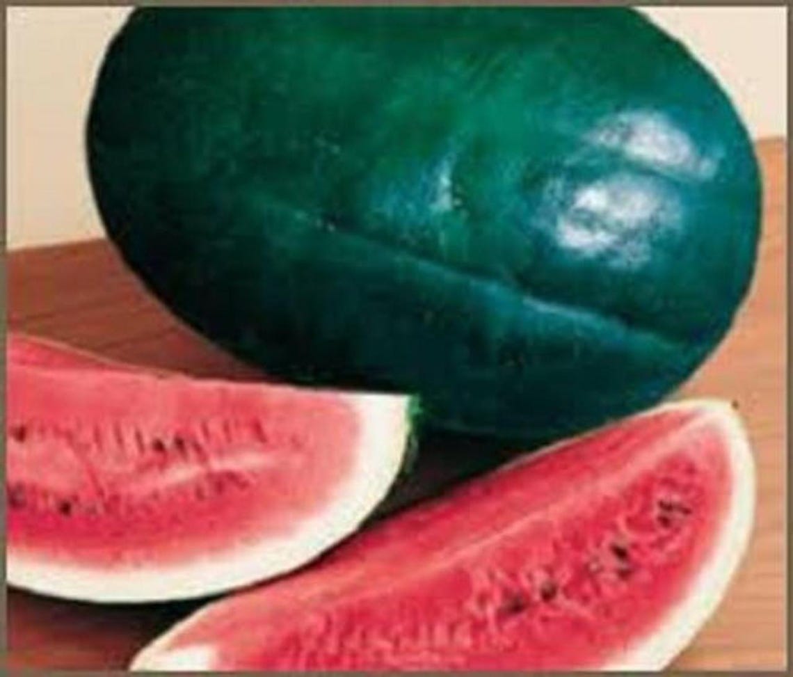 Watermelon 'black Diamond' Seeds - Rare Dark Green Watermelon - Large ...