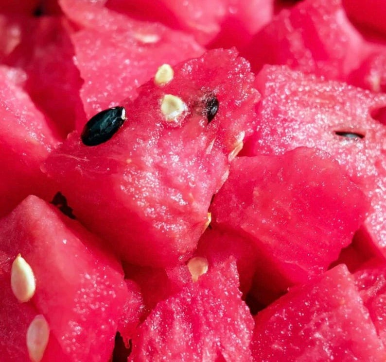 Watermelon 'black Diamond' Seeds - Rare Dark Green Watermelon - Large ...