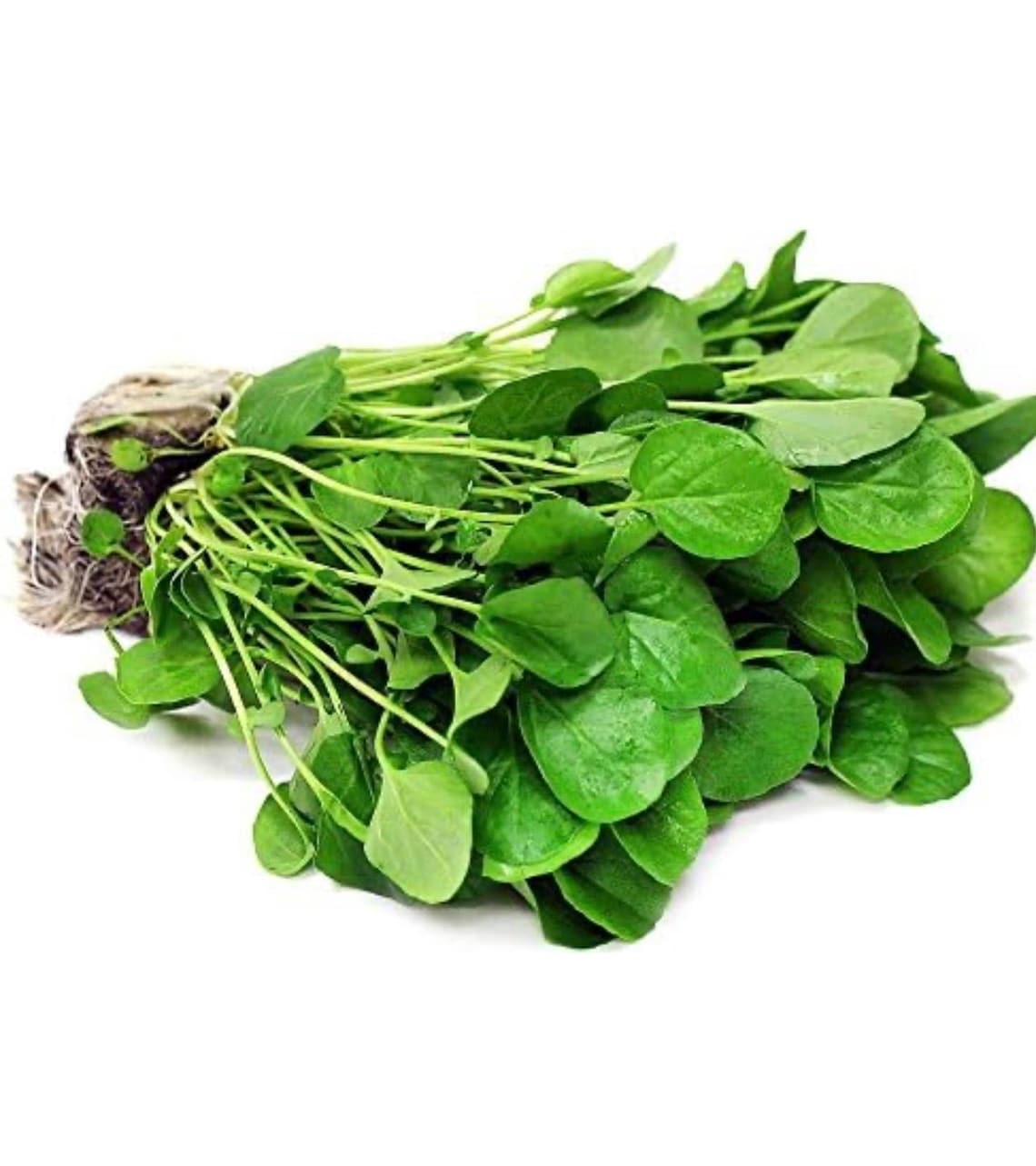 Watercress - 500+ Seeds - Organic - Heirloom Vegetable, Culinary ...