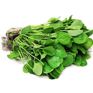 Watercress - 500+ Seeds - Organic - Heirloom Vegetable, Culinary ...