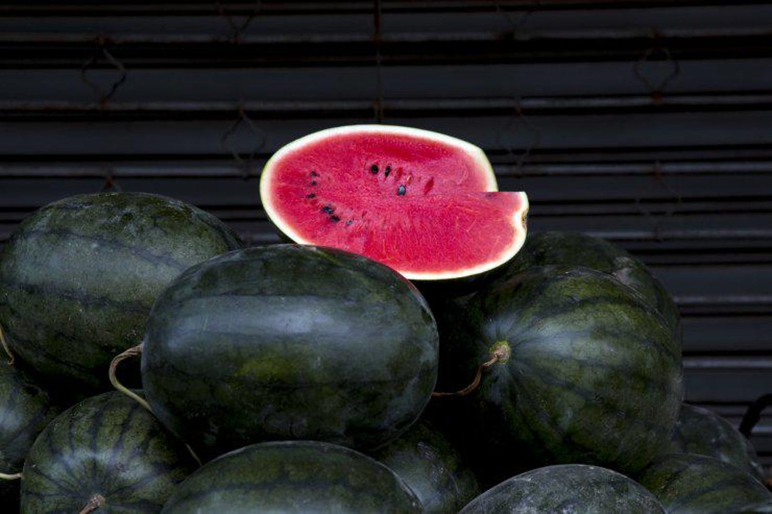Watermelon 'black Diamond' Seeds - Rare Dark Green Watermelon - Large ...